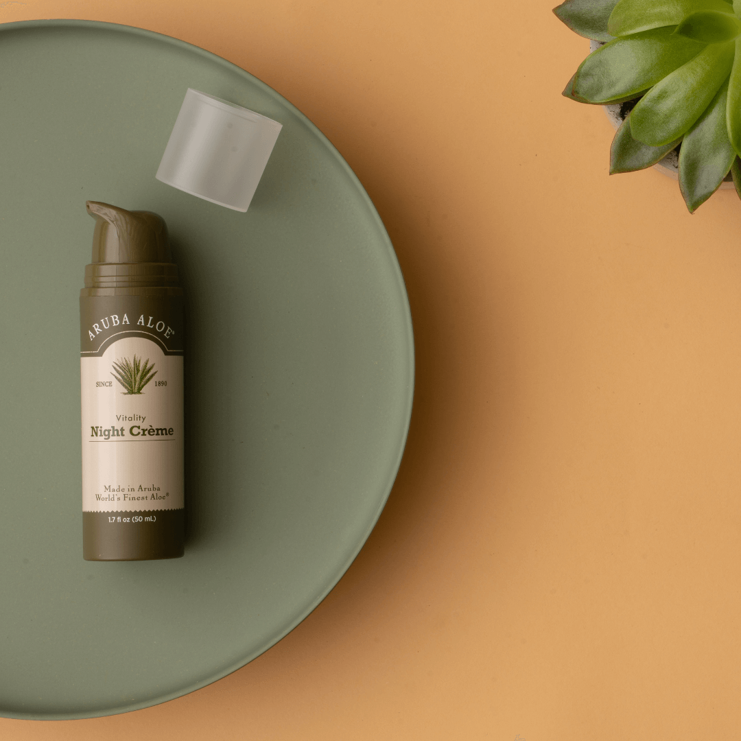 Revitalizing Night Cream | Aruba Aloe– Aruba Aloe EU